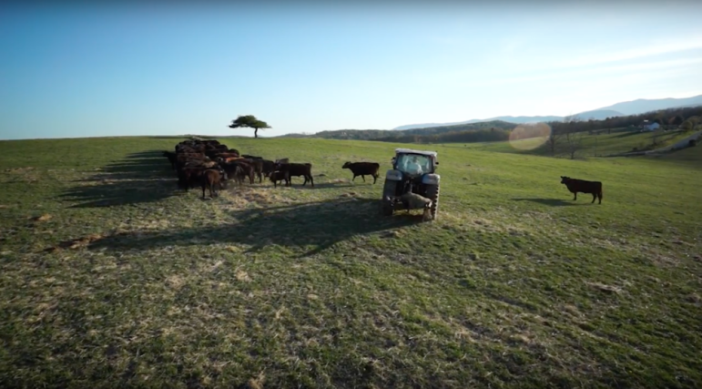 Farmer Family Tells Their Fresh Beef Story | Wendy's® Blog